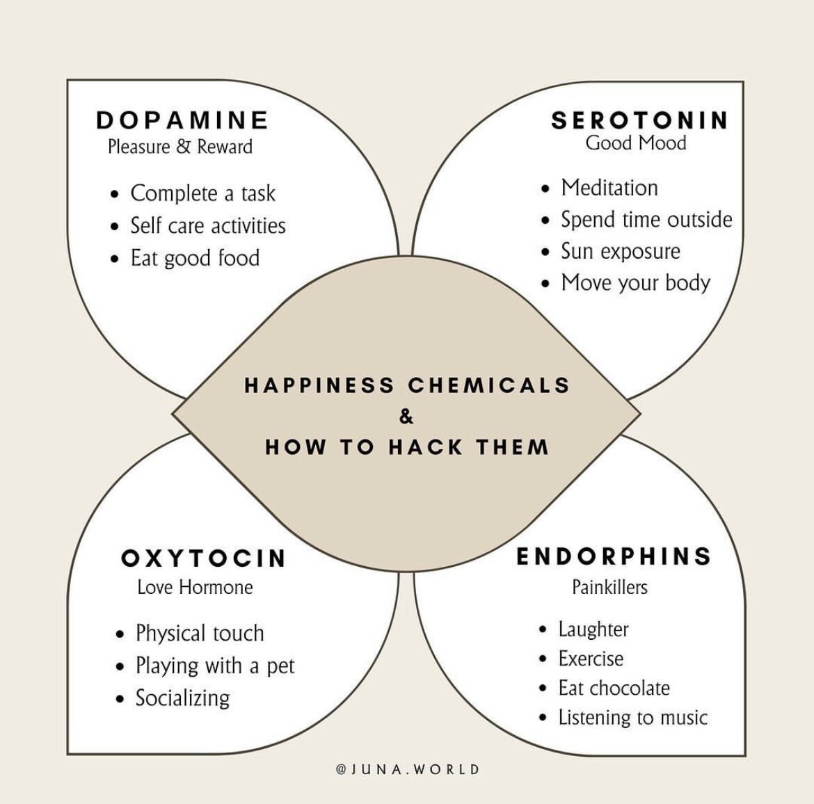 Dopamine Vs Serotonin Comparing Neurotransmitters Juna