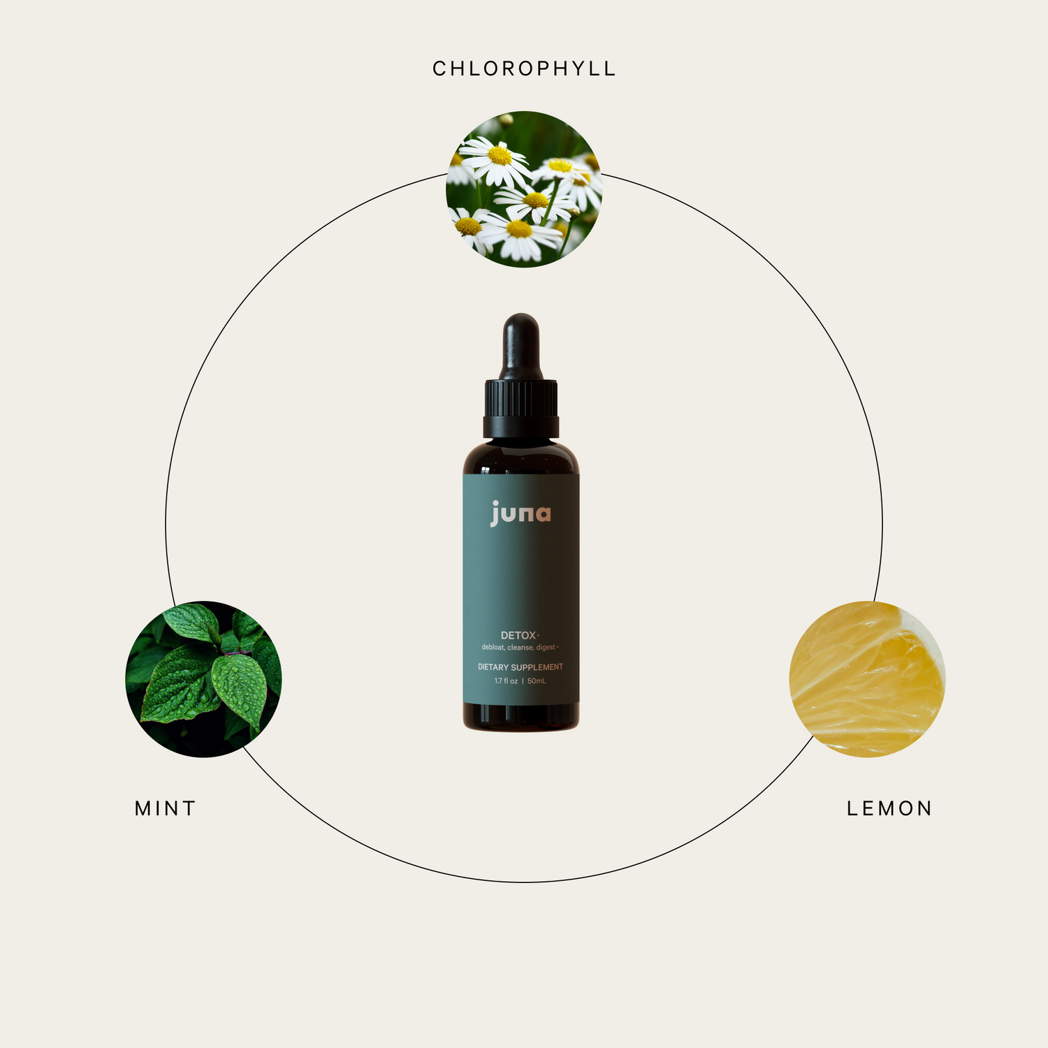 Detox + Debloat With Digestive Enzymes and Detox Drop Duo | Optimal Gut ...