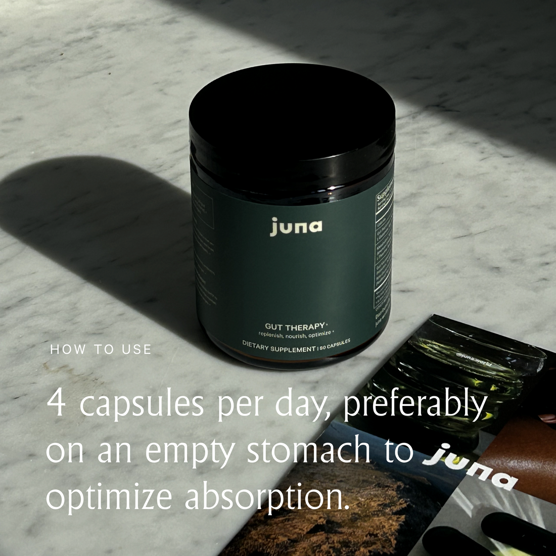 Gut Therapy is the ultimate gut reset and repair for mind, body, mood ...