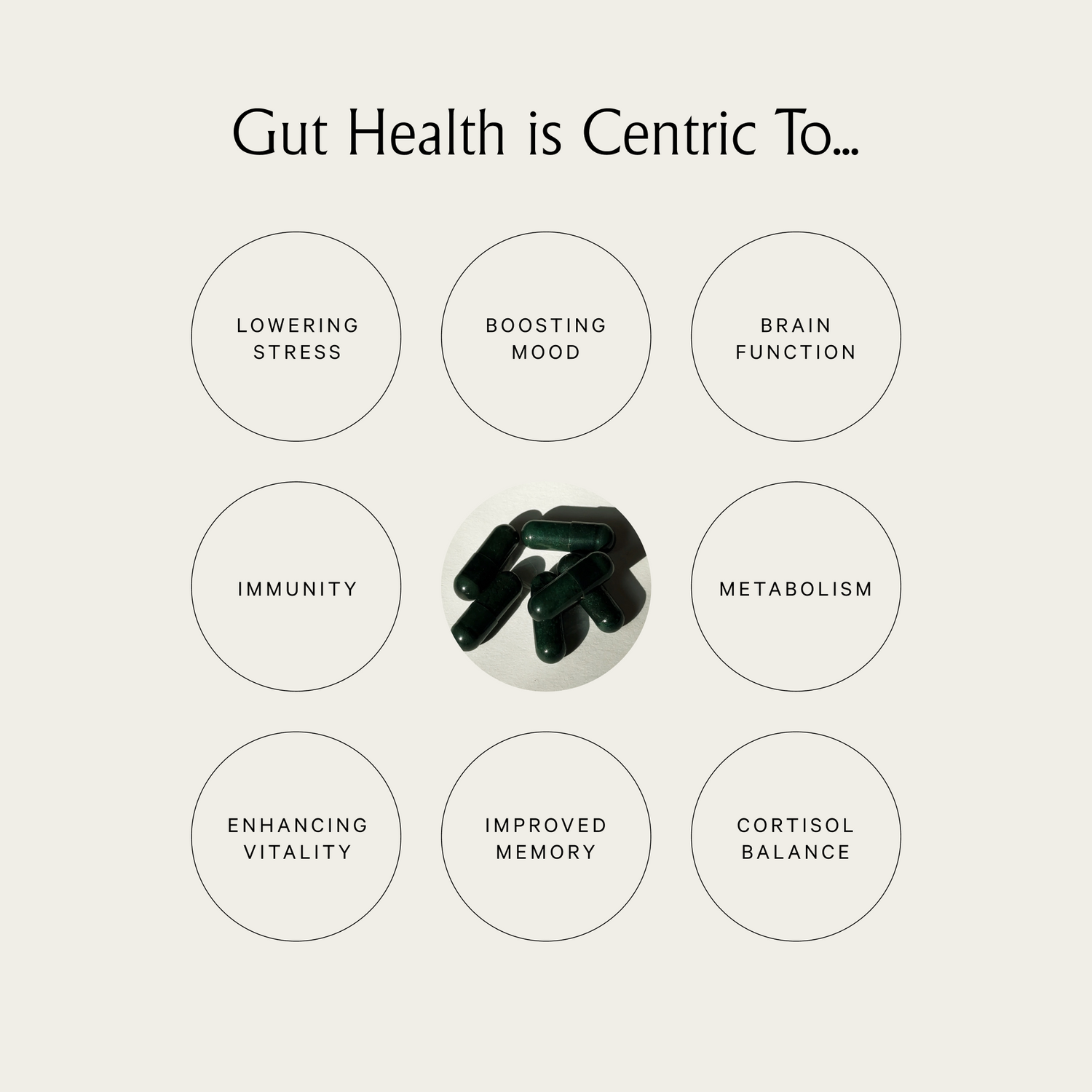 Gut Therapy is the ultimate gut reset and repair for mind, body, mood ...