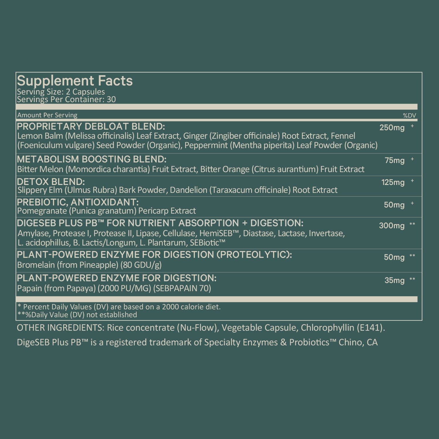Detox Enzymes | Debloat, Cleanse, Digest | Natural Vegan Digestive ...